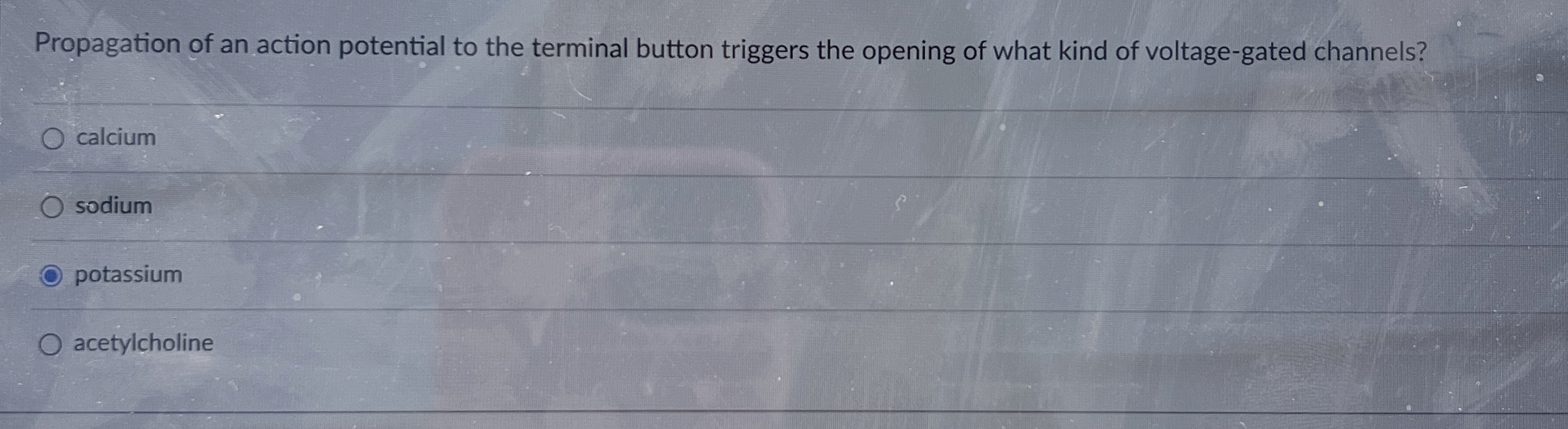 Solved Propagation of an action potential to the terminal | Chegg.com