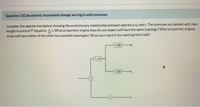 Question 2 (Calculation): Incomplete lineage sorting | Chegg.com