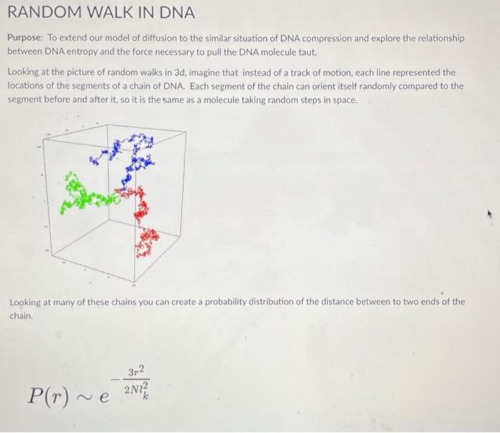 Purpose: To extend our model of diffusion to the | Chegg.com