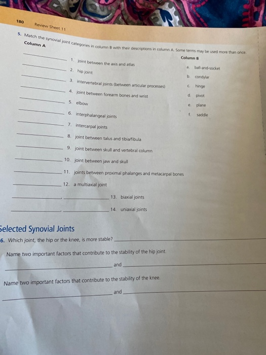 Solved Instructors may of the Review Sheet questions using | Chegg.com