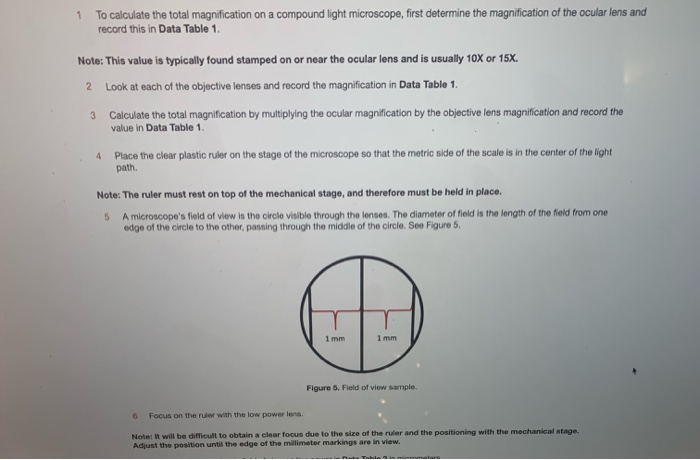 Solved 1 To Calculate The Total Magnification On A Compound Chegg solved-1-to-calculate-the-total-magnification-on-a-compound-chegg