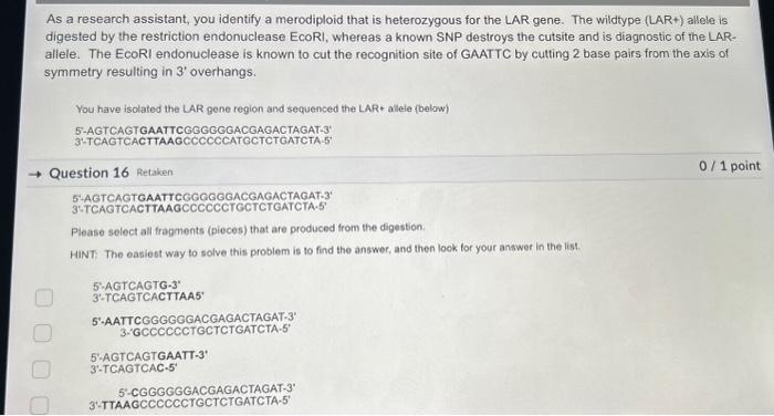 Solved As a research assistant, you identify a merodiploid | Chegg.com