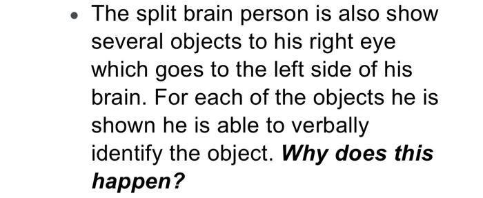 Solved • The split brain person is also show several objects | Chegg.com