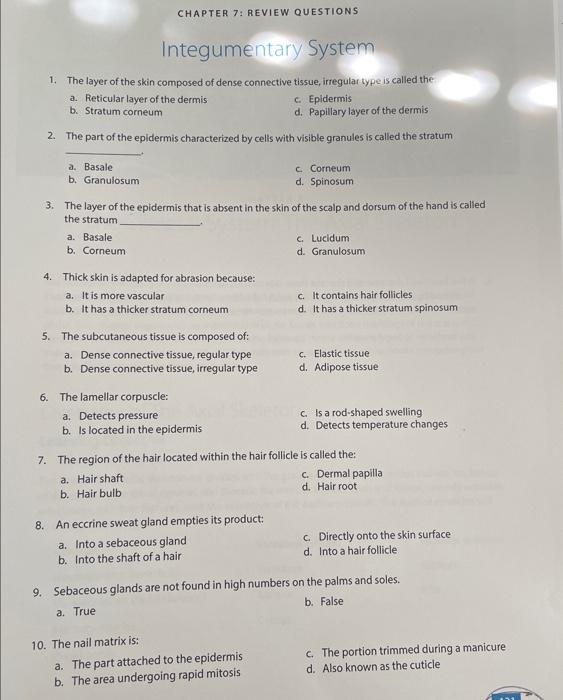 Solved Integumentary System 1. The layer of the skin | Chegg.com