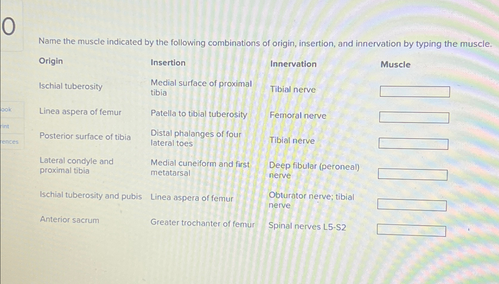 Solved Name the muscle indicated by the following | Chegg.com