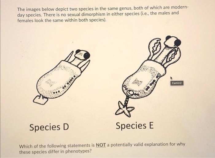 Solved The images below depict two species in the same | Chegg.com