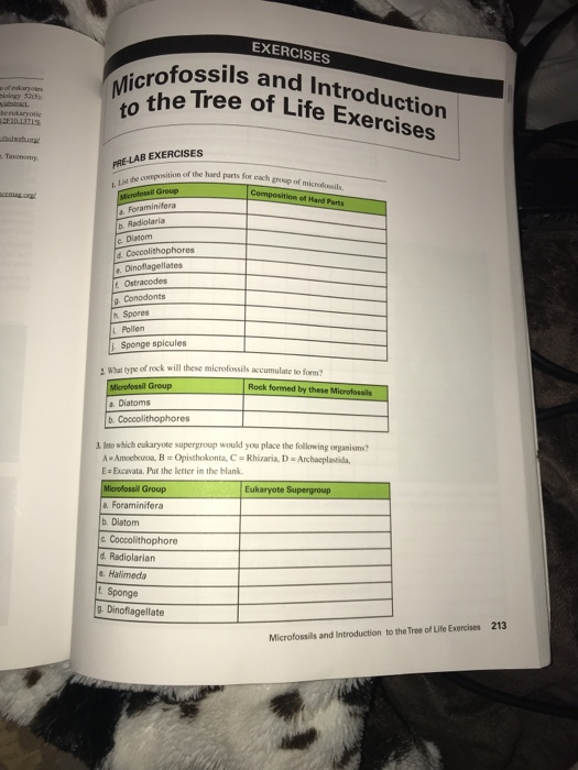 Solved EXERCISES Microfossils and Introduction the Tree of | Chegg.com