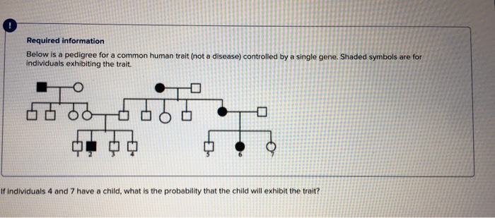 Solved Required information Below is a pedigree for a common | Chegg.com