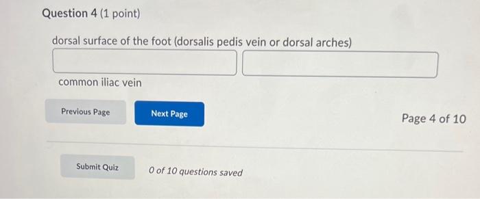 Solved Question 1 (1 point) aortic arch right superficial | Chegg.com
