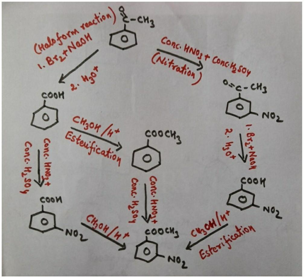 Solved .-CH₃ Conc. HNO3 + Conc. My Soy (Hals form reaction) | Chegg.com