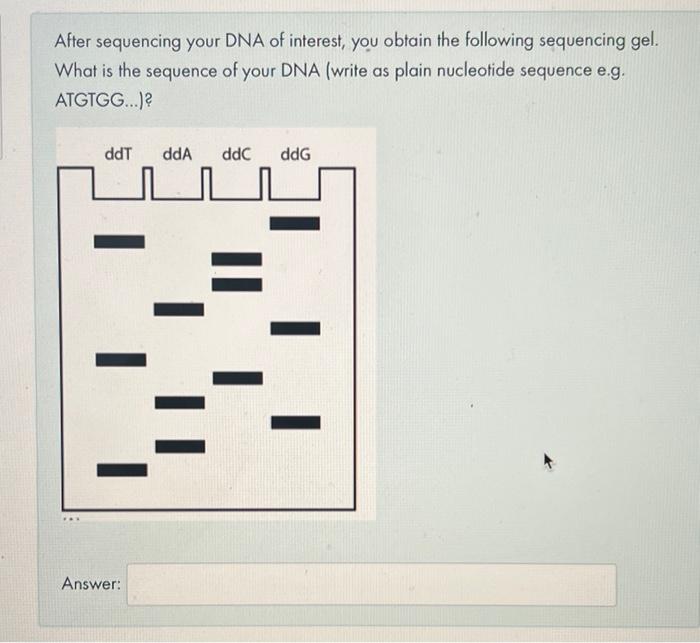 Solved After sequencing your DNA of interest, you obtain the | Chegg.com
