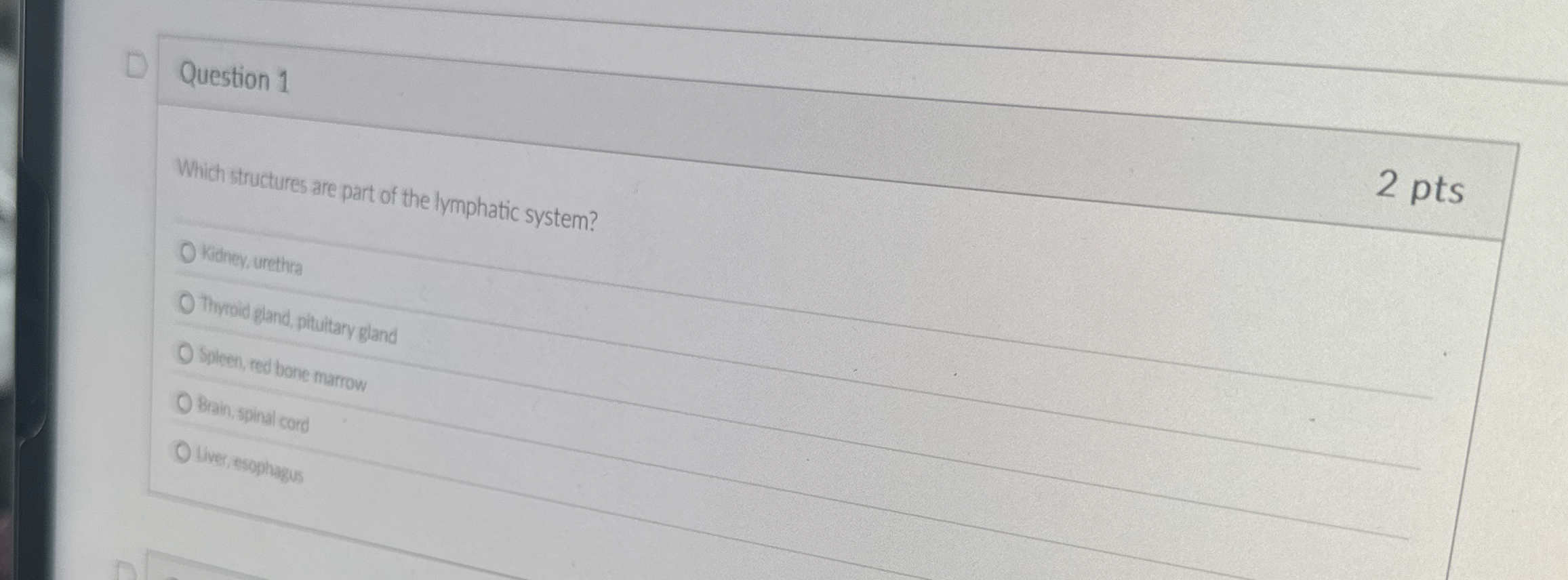 Solved Question 12 ﻿ptsWhich structures are part of the | Chegg.com