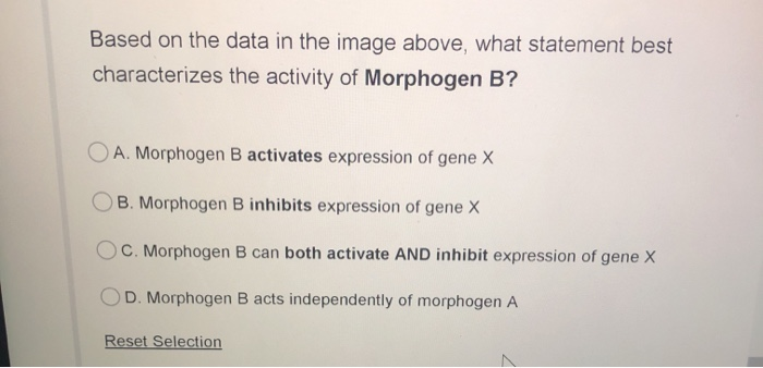 Solved Part 7 of 18 - Morphogens The diagram shows the | Chegg.com