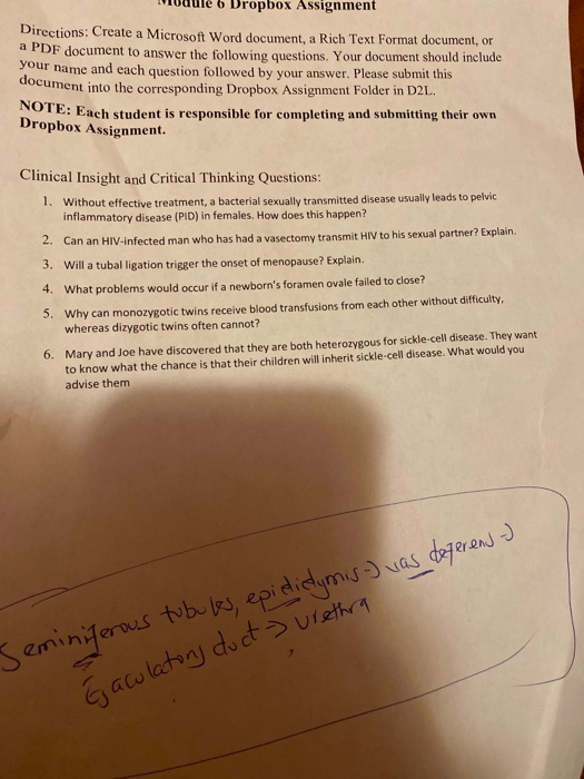 Solved 6 Dropbox Assignment Directions: Create a Microsoft | Chegg.com