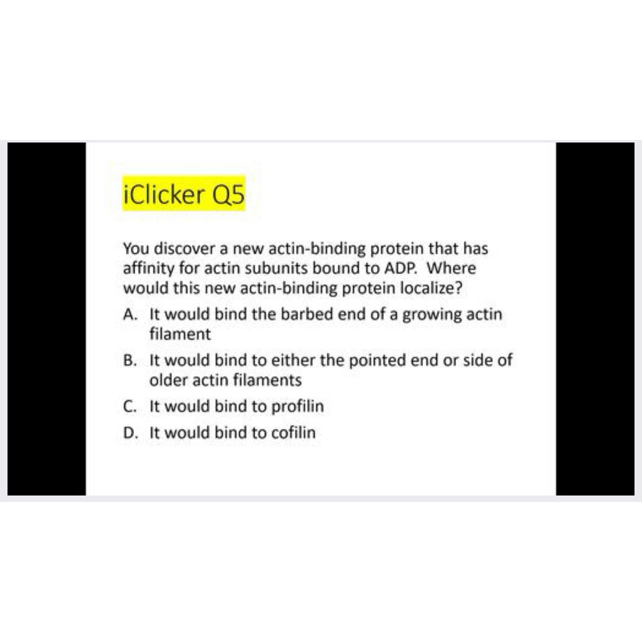 Solved You discover a new actin-binding protein that has | Chegg.com