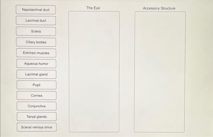 Solved Classify each item as being an accessory structure of | Chegg.com
