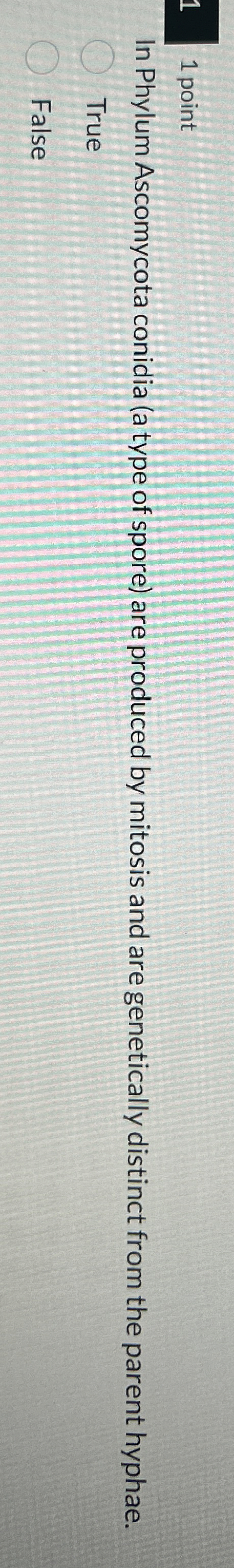 Solved 11 ﻿pointIn Phylum Ascomycota conidia (a type of | Chegg.com