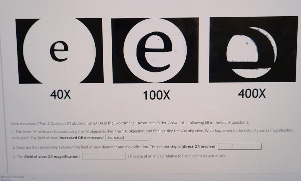 Solved (eee 40x 100X 400X View the photo (Part 3 Questions | Chegg.com