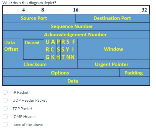 What does this diagram depict?IP PacketUDP Header | Chegg.com
