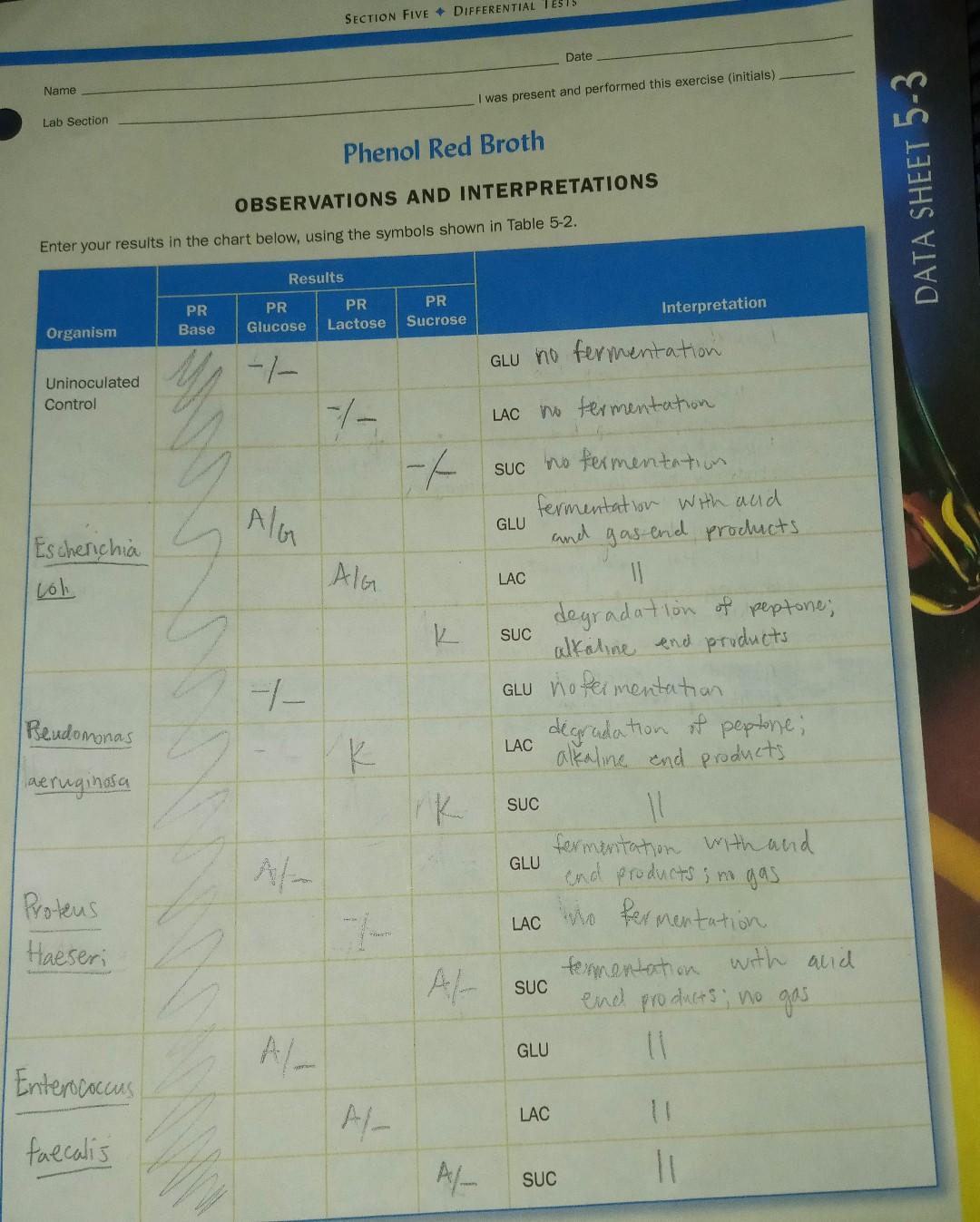 Solved OBSERVATIONS AND INTERPRETATIONS Entanuau racults in | Chegg.com