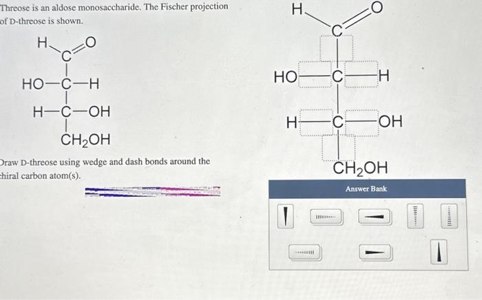 Solved Convert the Fischer projection to the Haworth | Chegg.com