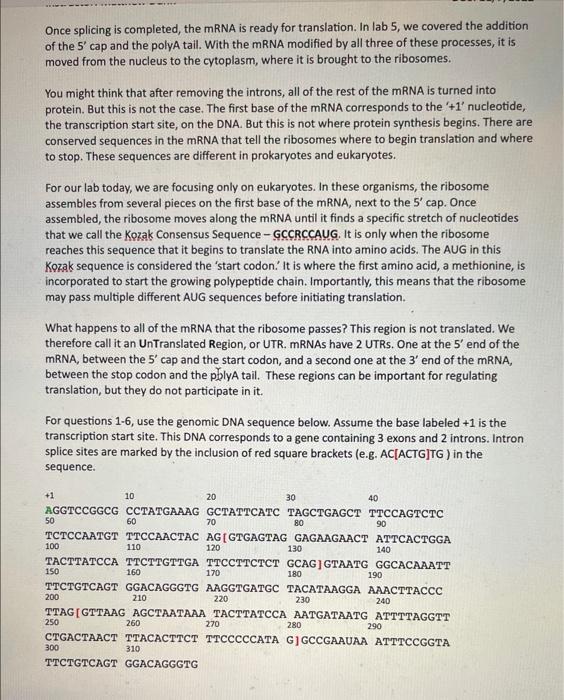 Solved In Lab 5, we explored how the cell transcribes a DNA | Chegg.com