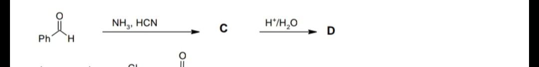 Solved NH3 HCN H*/H,0 D Ph H | Chegg.com