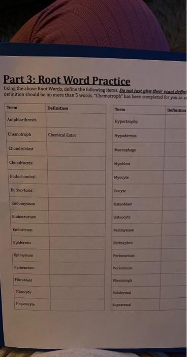 Solved Part 3: Root Word Practice definition should be no | Chegg.com