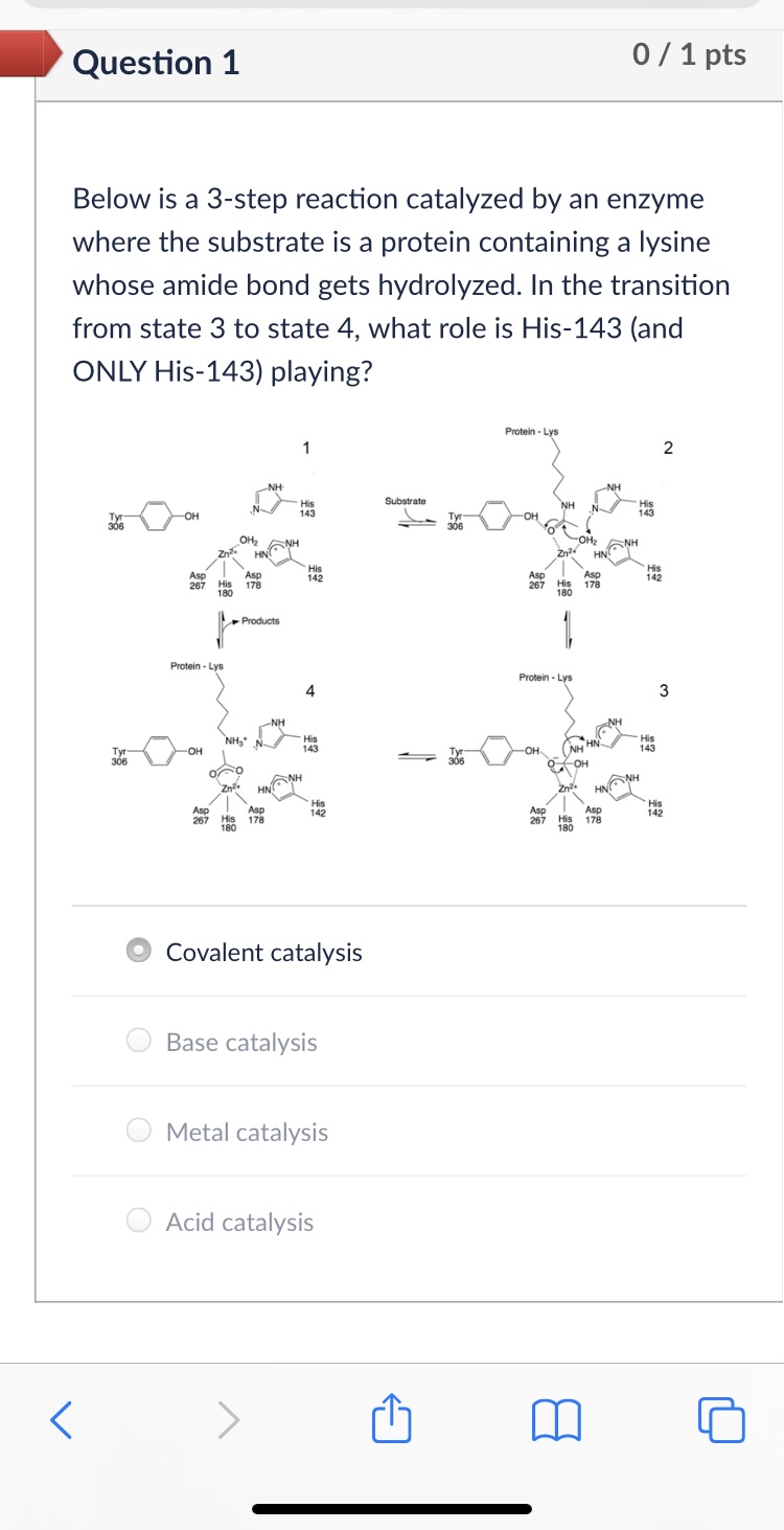 Solved Below is a 3-step reaction catalyzed by an | Chegg.com