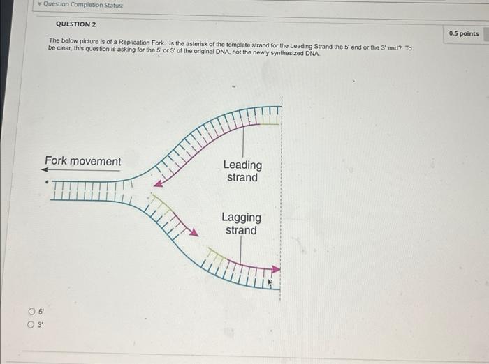 Solved QUESTION 2 The below picture is of a Replication | Chegg.com