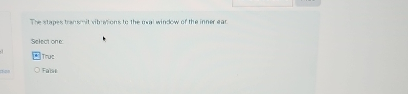 Solved The stapes transmit vibrations to the oval window of | Chegg.com