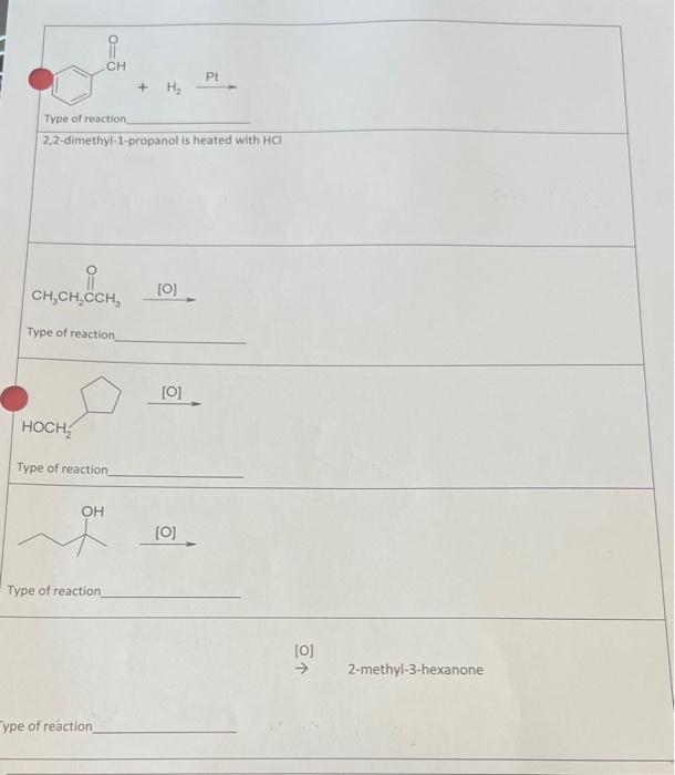 Solved +H2=Pt Type of reaction. 2,2-dimethyl-1-propanol is | Chegg.com