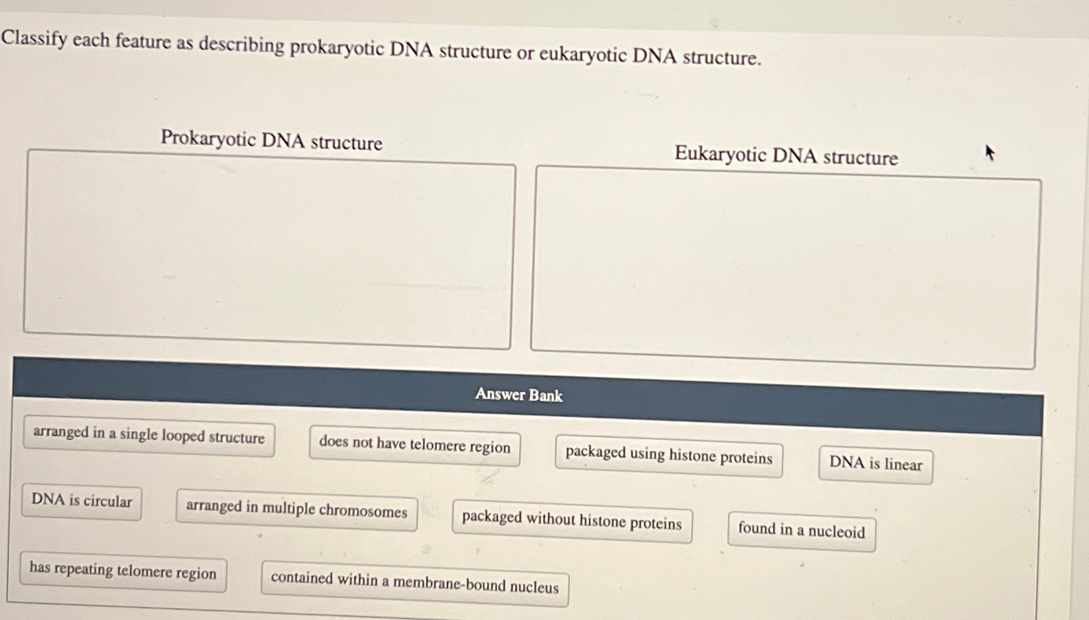 Solved Classify each feature as describing prokaryotic DNA | Chegg.com