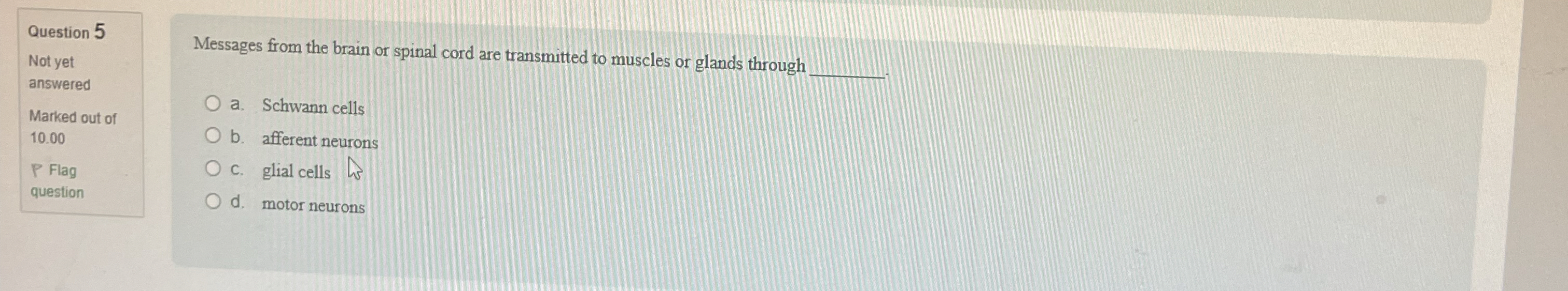 Solved Messages from the brain or spinal cord are | Chegg.com