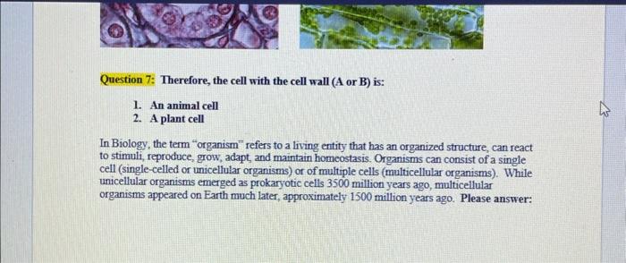 Solved TASKS: 1. Watch this video to learn the function, | Chegg.com