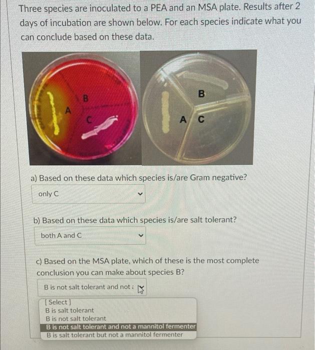 Solved Choices for first picture question A and B:•both A | Chegg.com