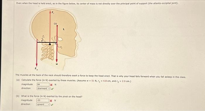 Solved The muscles at the back of the neck should therefore | Chegg.com