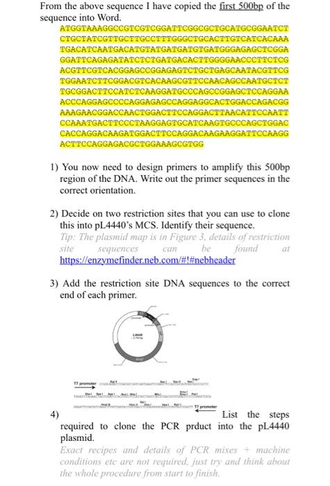 Solved 1. What two restriction sites are you going to use to | Chegg.com