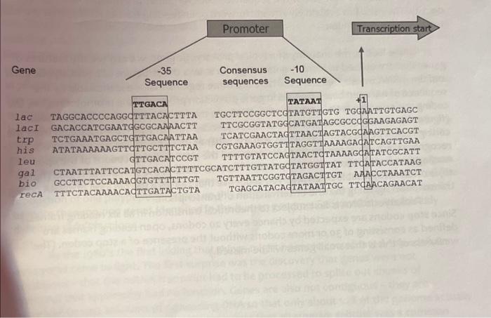 CAAT Box 62,06162,065 TATA | Chegg.com