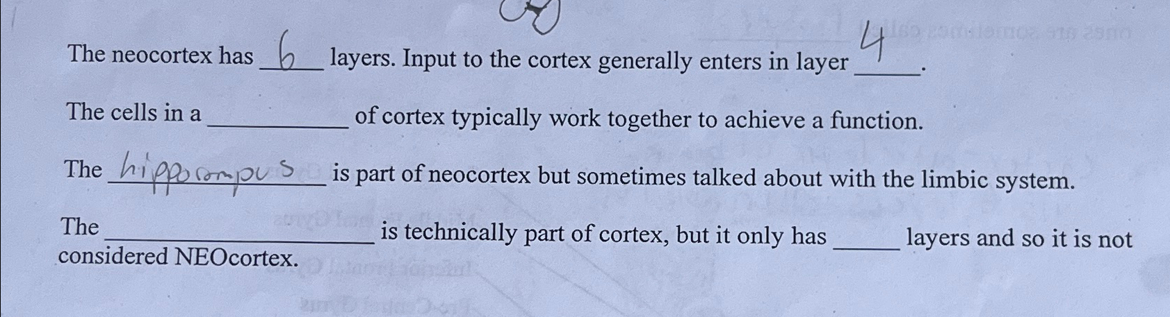 Solved The neocortex has 6 ﻿layers. Input to the cortex | Chegg.com