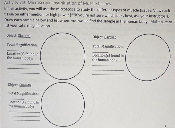 Solved Activity 7.3: Microscopic examination of Muscle | Chegg.com