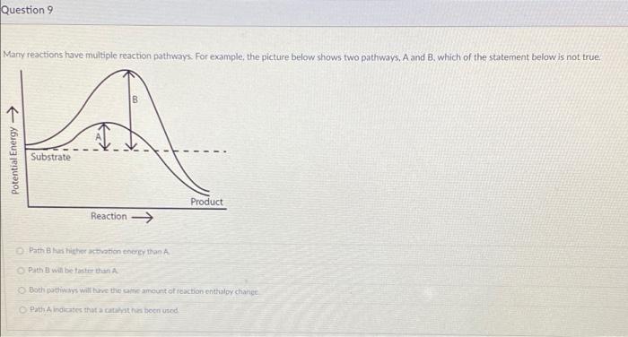 Solved Question 9 Many reactions have multiple reaction | Chegg.com