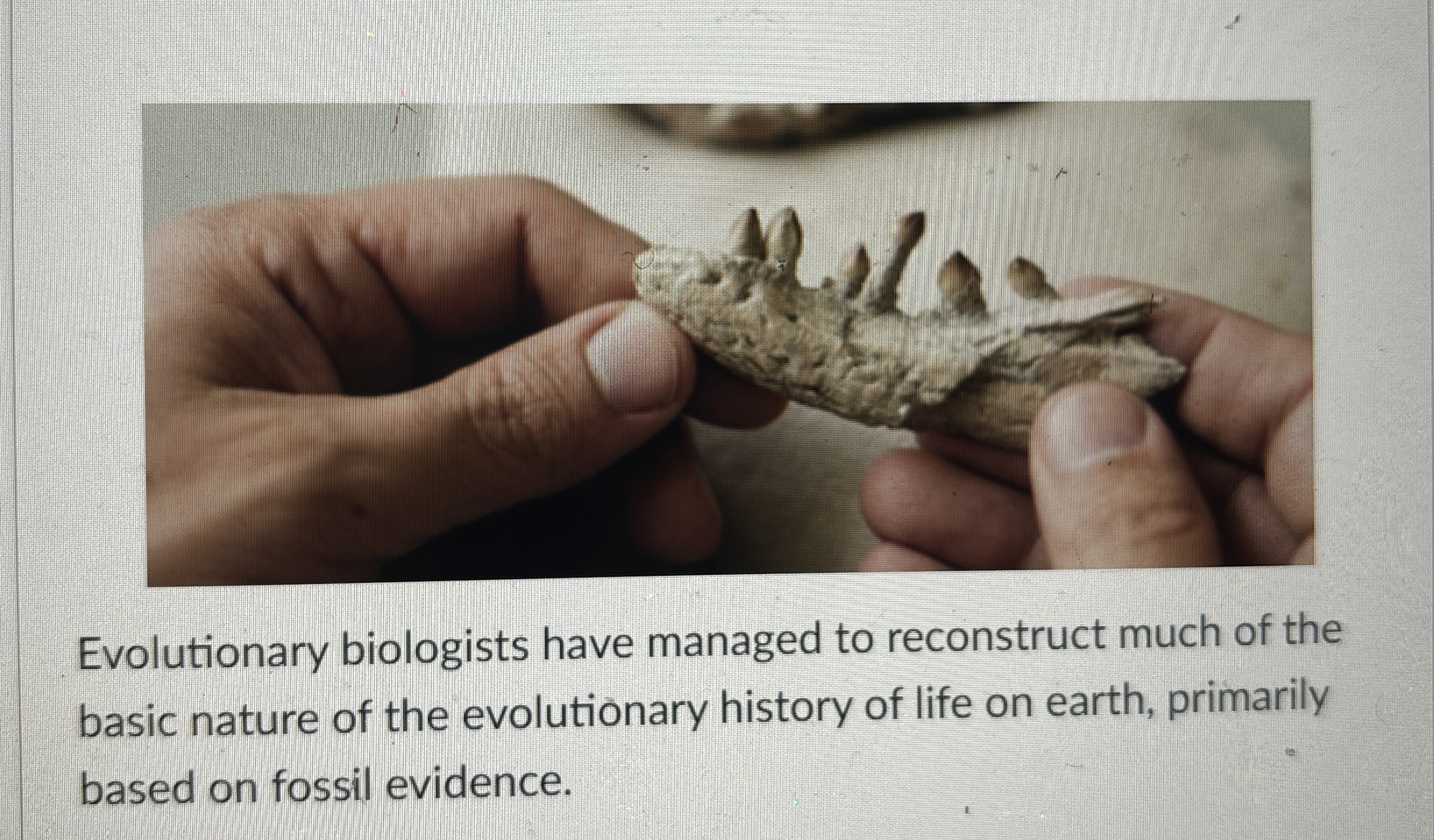 Solved Evolutionary biologists have managed to reconstruct | Chegg.com