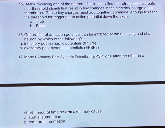 Solved 15. At the receiving end of the neuron, chemicals | Chegg.com