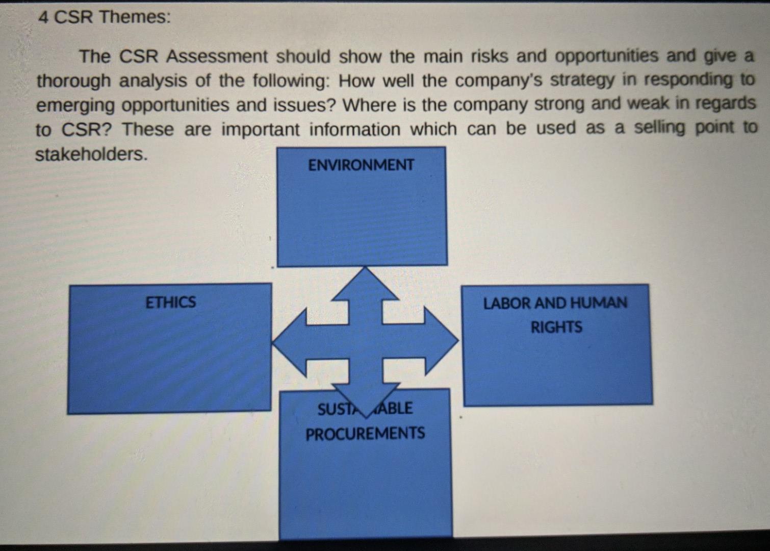 Solved 4 CSR Themes: The CSR Assessment should show the main | Chegg.com