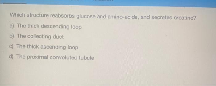 Solved Which structure reabsorbs glucose and amino-acids, | Chegg.com