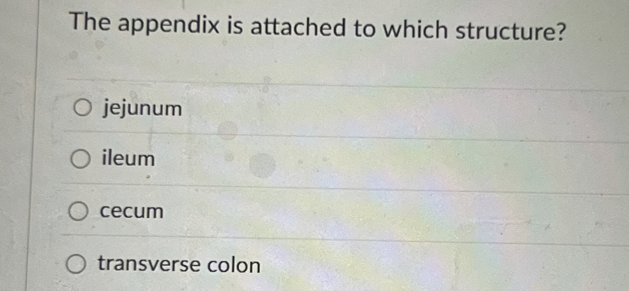 Solved The appendix is attached to which | Chegg.com