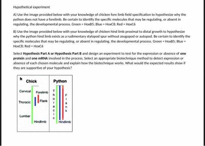 Solved Hypothetical experiment A) Use the image provided | Chegg.com