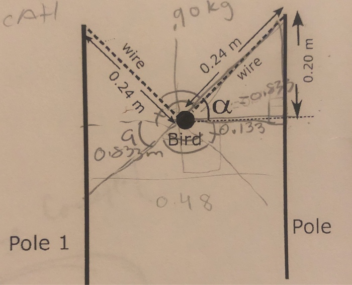 Solved d=0.48m 2. (10 pts) The distance between two poles, | Chegg.com