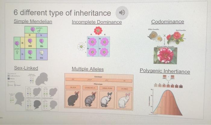 Solved 6 different type of inheritance Simple Mendelian | Chegg.com